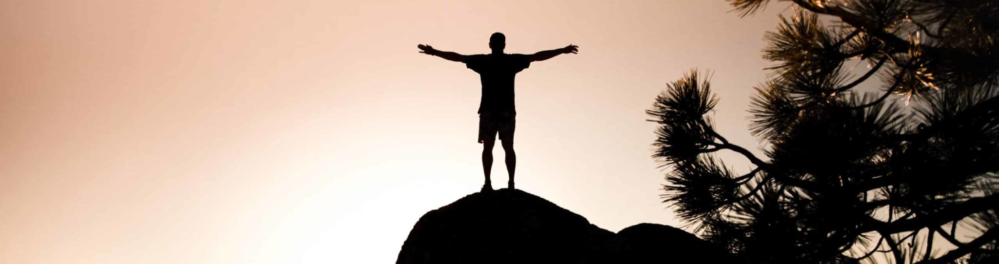 Surrendering to the Spirit: Why the Holy Spirit - discipleFIRST