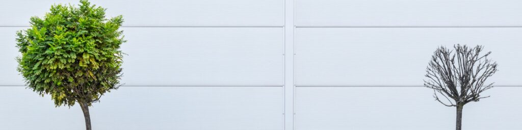 Two Divergent Paths: Building a Lasting Impact - discipleFIRST